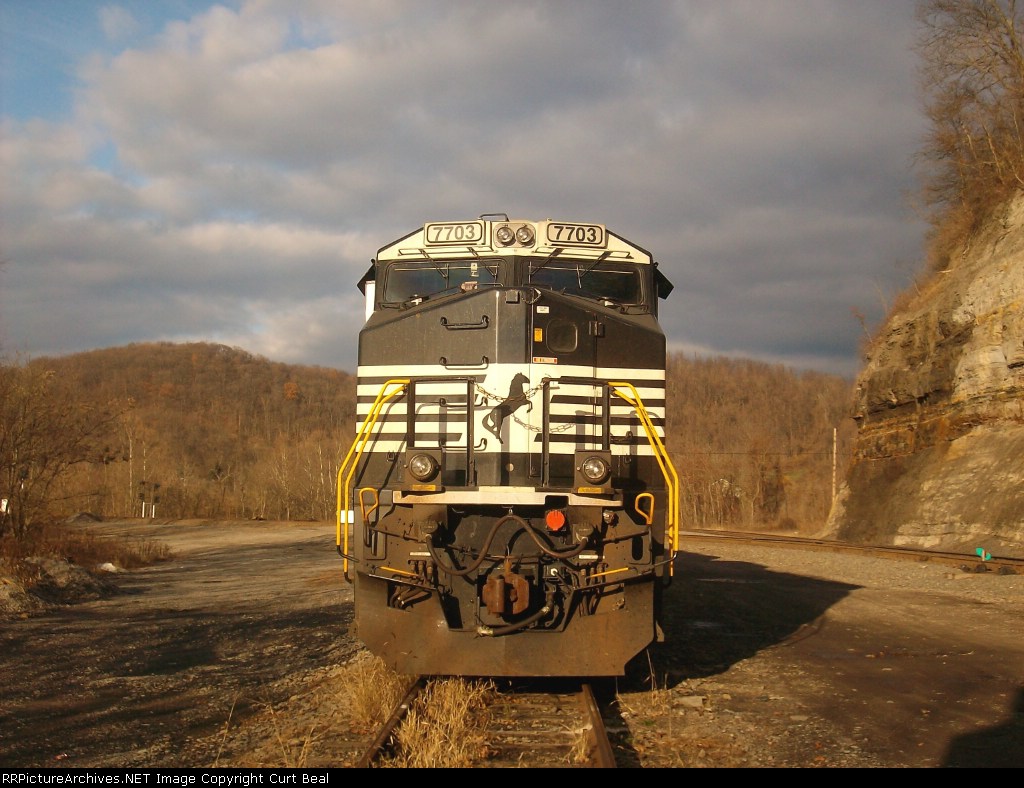 NS 7703 (photo1)